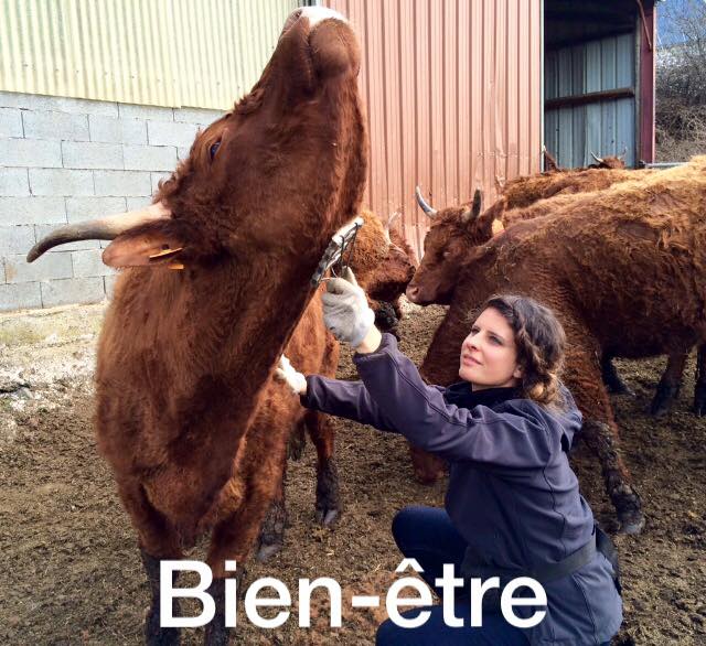 Le Bien-Etre Animal - Etho-Diversité Le Bien-Etre Animal - Etho-Diversité